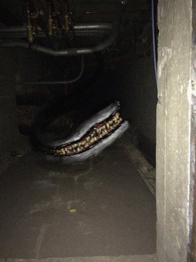 Basement Wolf | Barli and SCP Foundation 2020 Wiki | Fandom