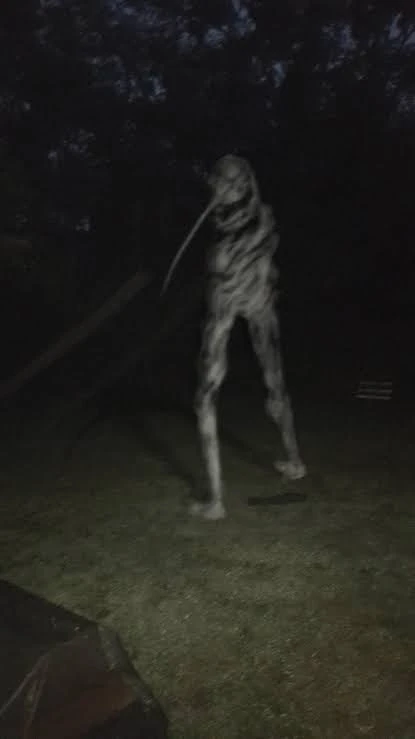 Night Ganders Ghost | Barli and SCP Foundation 2020 Wiki | Fandom