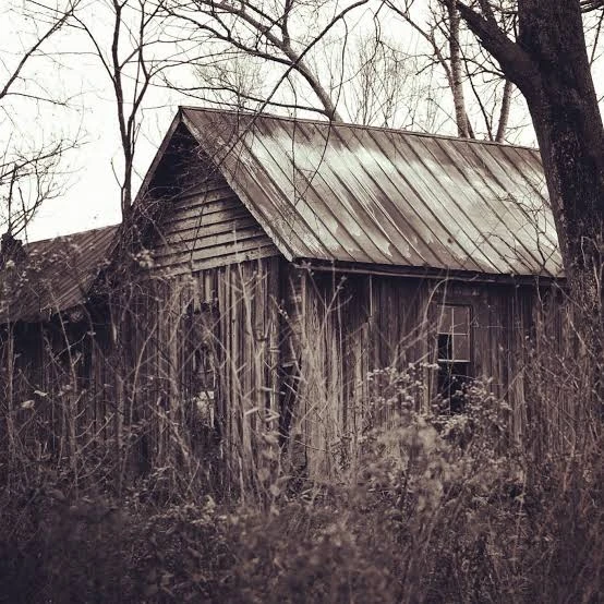 A Man On The Roof | Barli and SCP Foundation 2020 Wiki | Fandom