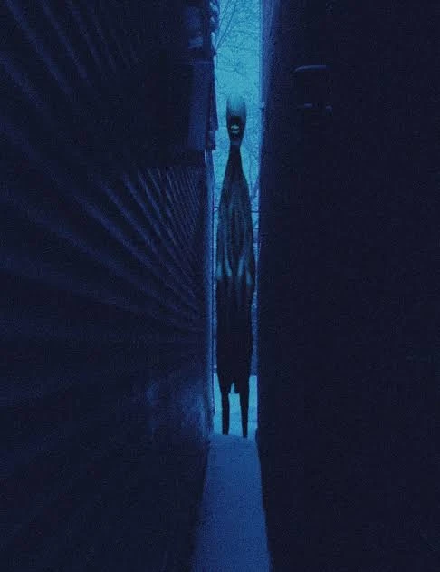 Cornered | Barli and SCP Foundation 2020 Wiki | Fandom