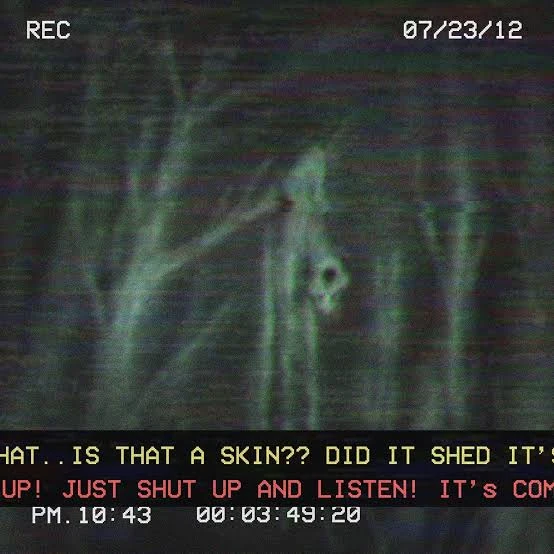 Tree skin | Barli and SCP Foundation 2020 Wiki | Fandom