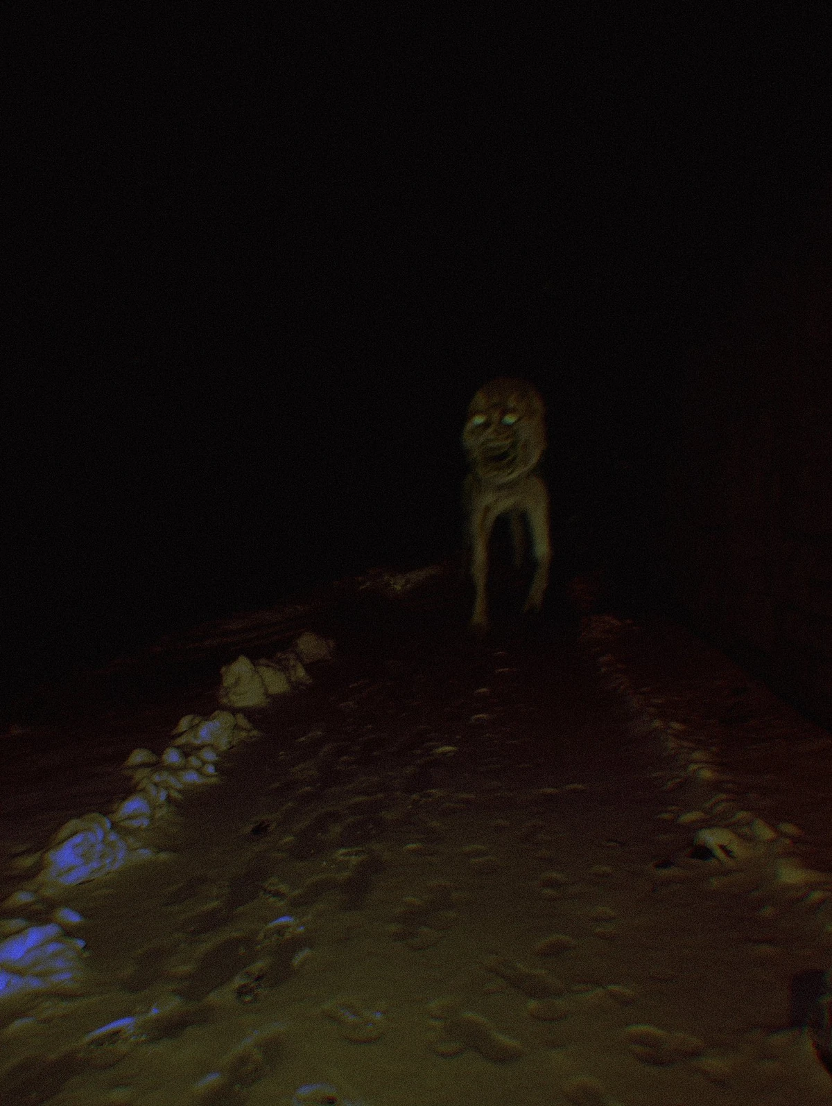 Encounter On The Path | Barli and SCP Foundation 2020 Wiki | Fandom