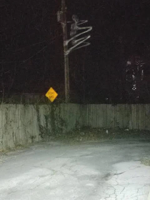 Stick Bug | Barli and SCP Foundation 2020 Wiki | Fandom