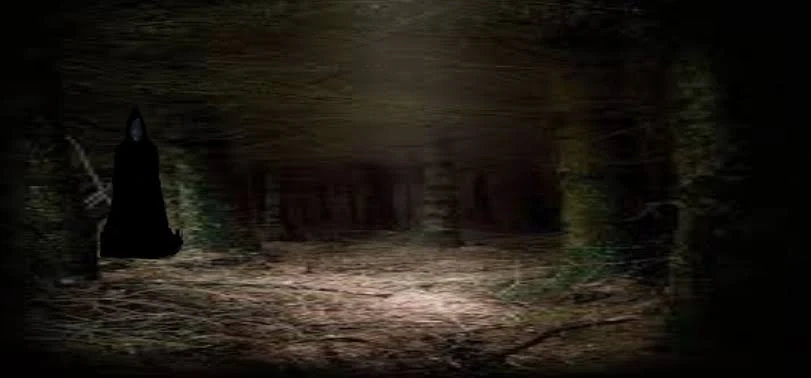 Reaper Of The Forest | Barli and SCP Foundation 2020 Wiki | Fandom