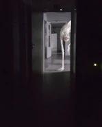 Anxious Dogs | Barli and SCP Foundation 2020 Wiki | Fandom