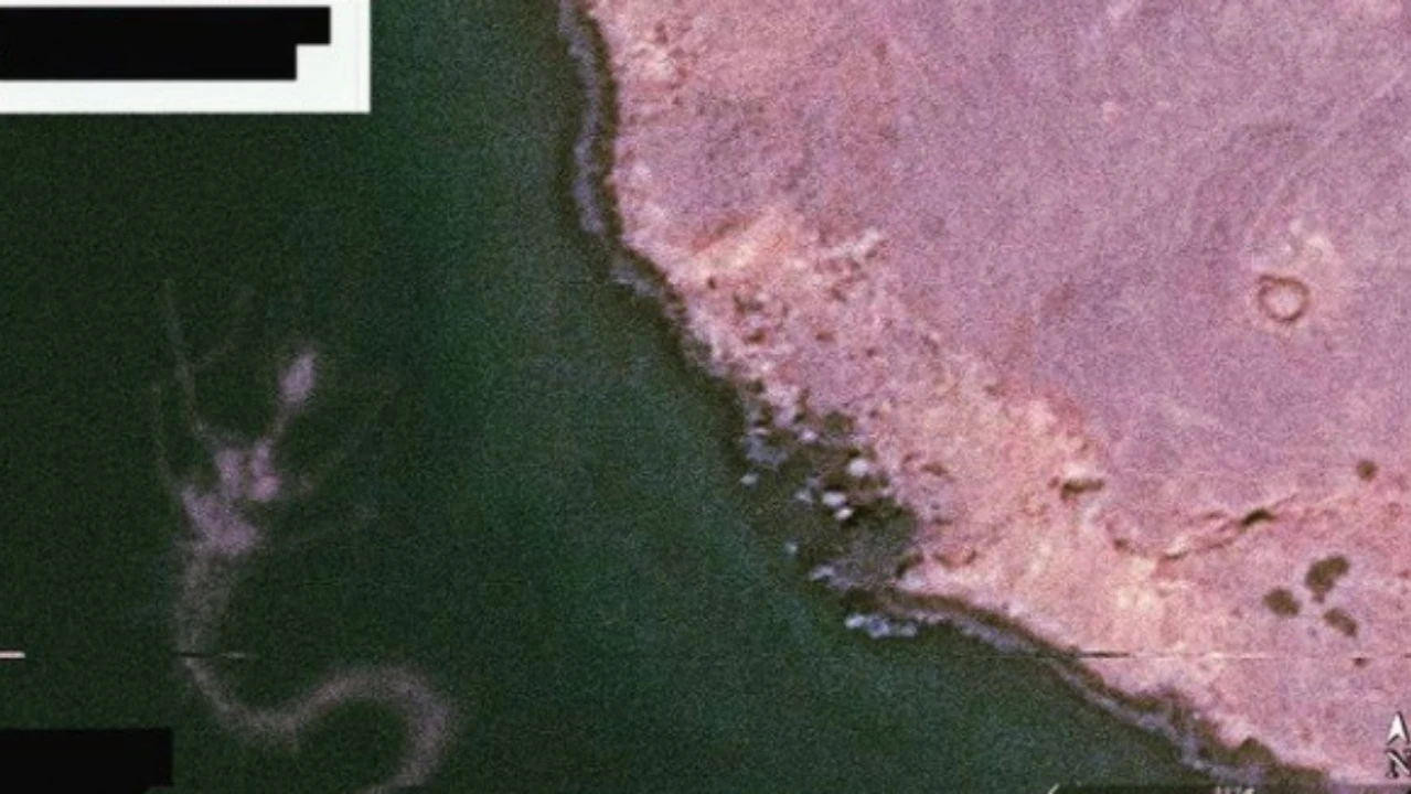 Leviathan | Barli and SCP Foundation 2020 Wiki | Fandom