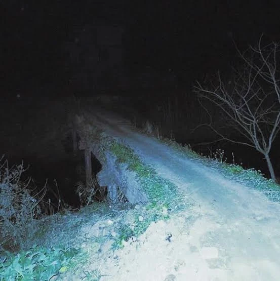 Bridge Ghost | Barli and SCP Foundation 2020 Wiki | Fandom