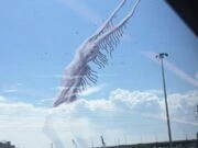 The Giants | Barli and SCP Foundation 2020 Wiki | Fandom