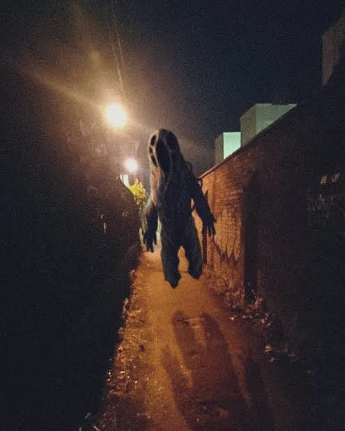 Floating Ghost | Barli and SCP Foundation 2020 Wiki | Fandom