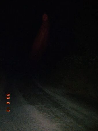 98-8-13 | Barli and SCP Foundation 2020 Wiki | Fandom