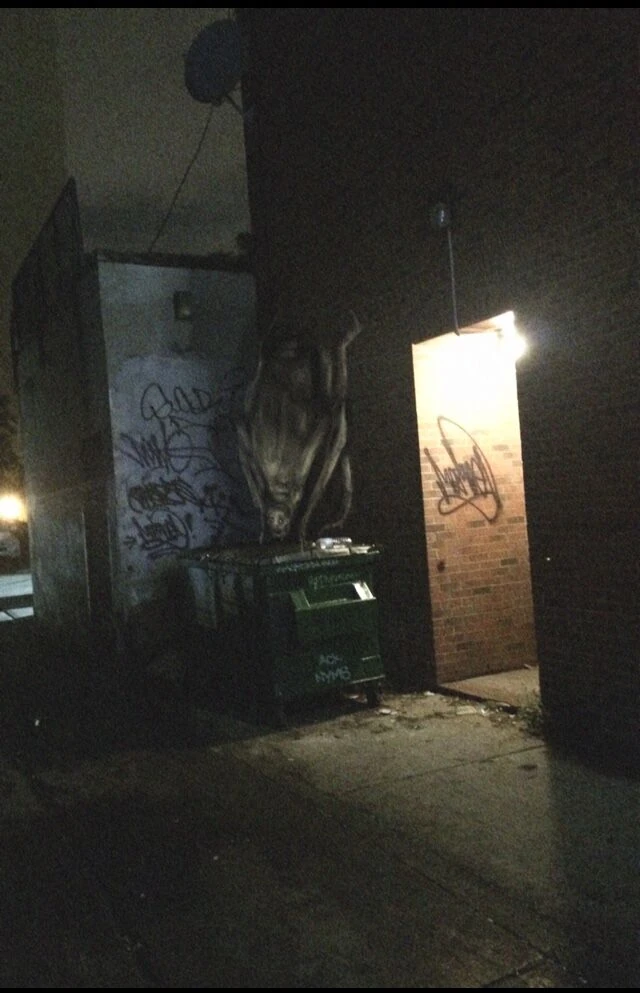 The Humanoid Cockroach | Barli and SCP Foundation 2020 Wiki | Fandom