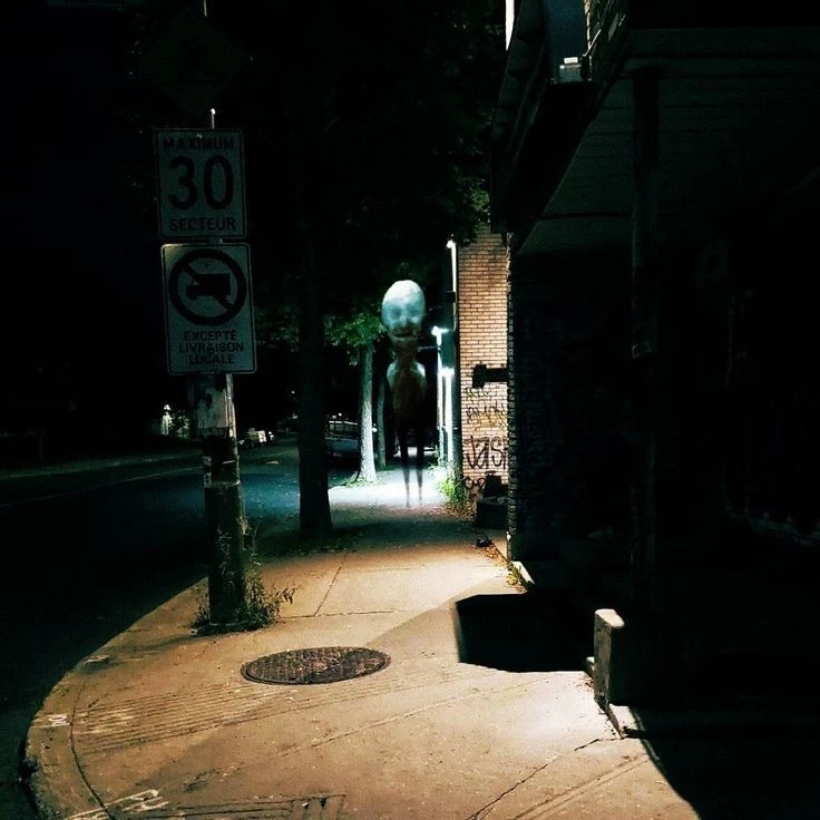 Following you home | Barli and SCP Foundation 2020 Wiki | Fandom