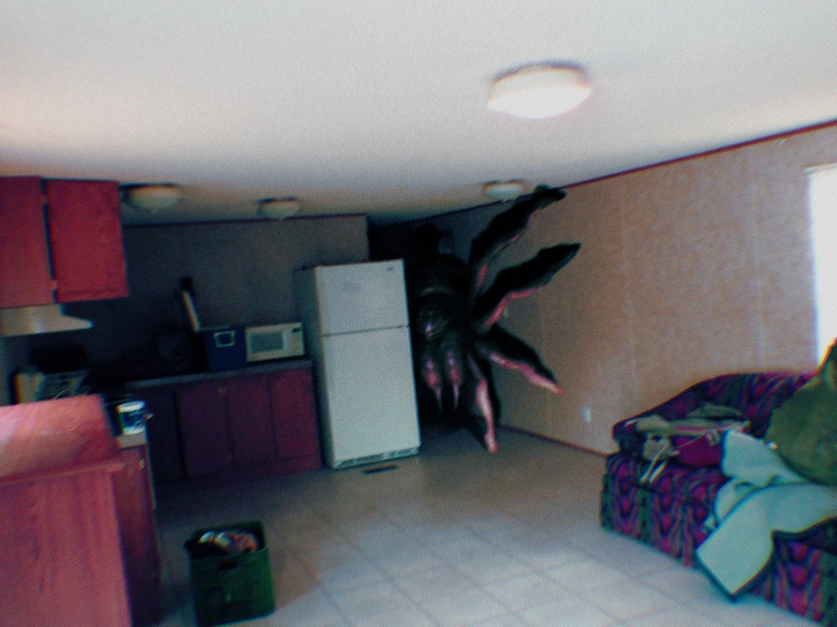 House Spider | Barli and SCP Foundation 2020 Wiki | Fandom