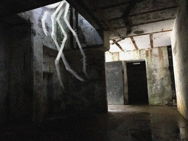 Sewer Spider | Barli and SCP Foundation 2020 Wiki | Fandom