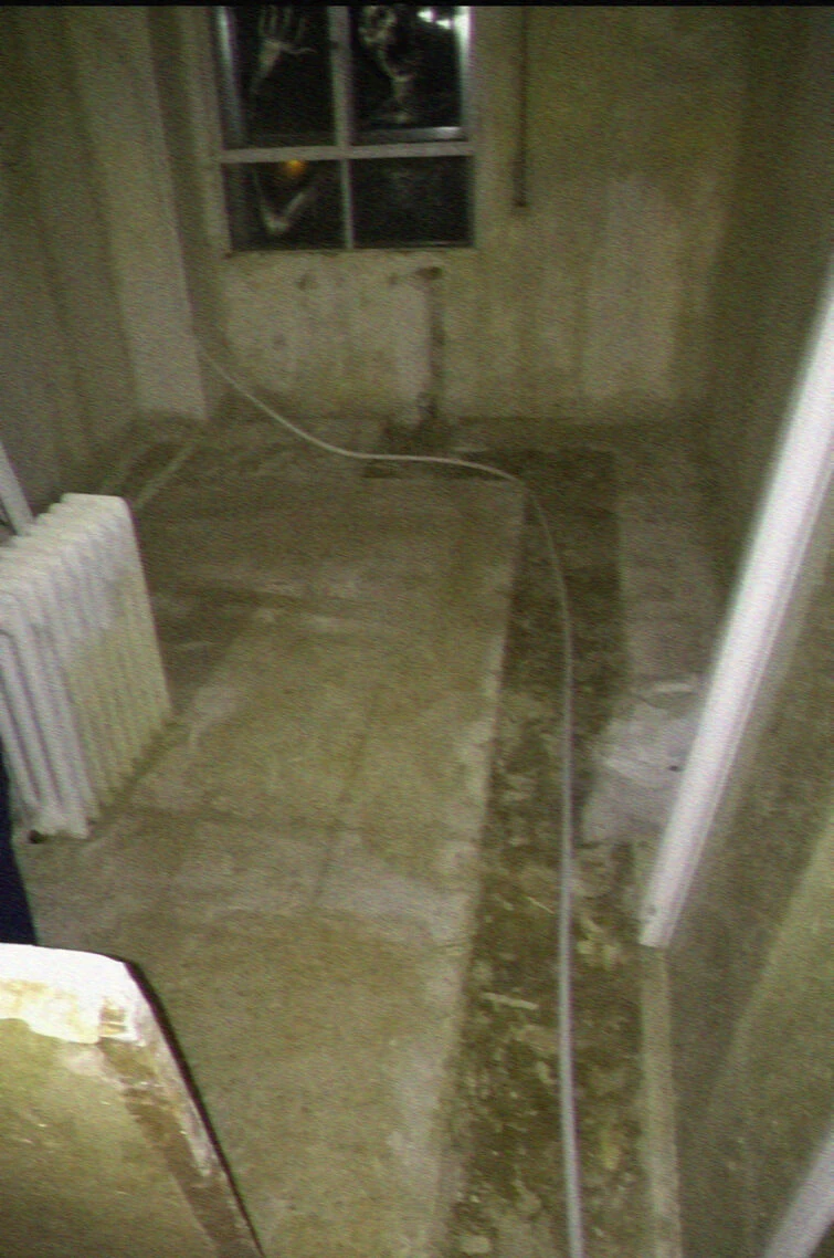 Window Bug | Barli and SCP Foundation 2020 Wiki | Fandom