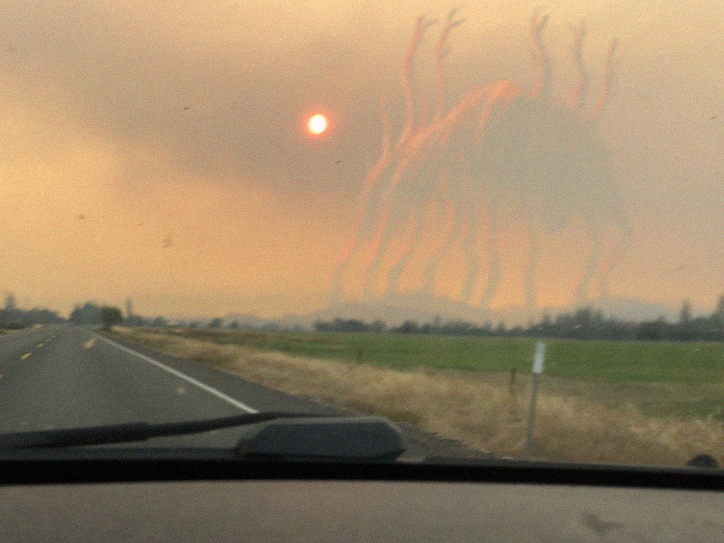 Mushroom Crab | Barli and SCP Foundation 2020 Wiki | Fandom