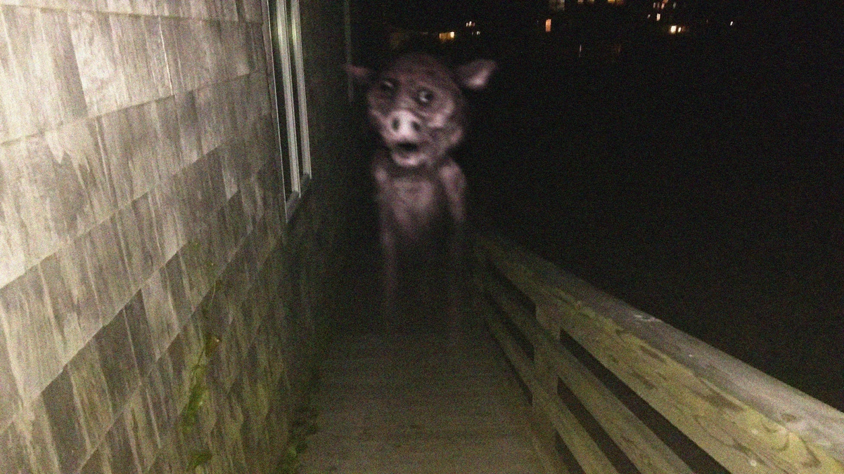 Body-Of-A-Pig/Ghost Pig | Barli and SCP Foundation 2020 Wiki | Fandom