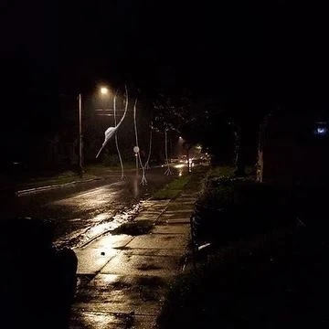 The Long Bird | Barli and SCP Foundation 2020 Wiki | Fandom