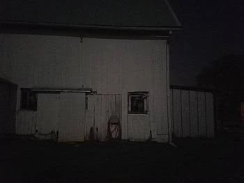 Barn Horses | Barli and SCP Foundation 2020 Wiki | Fandom