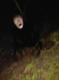 Forest Facial Creatures | Barli and SCP Foundation 2020 Wiki | Fandom