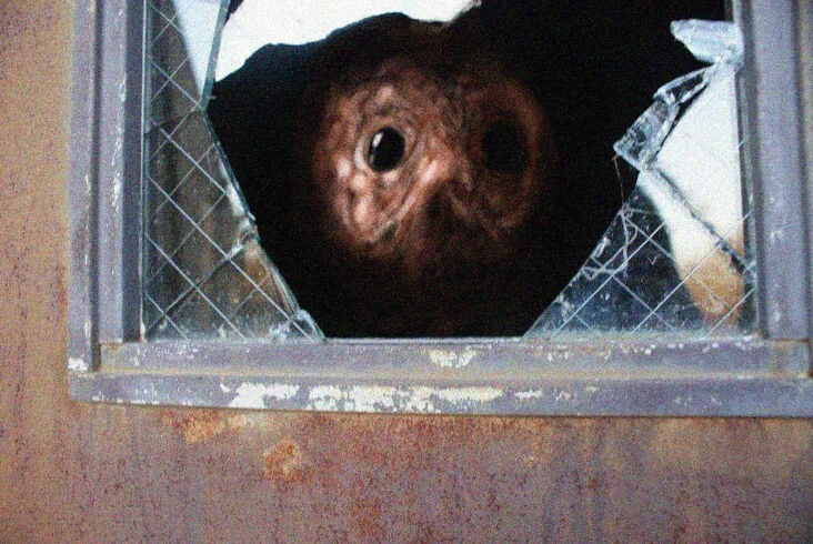 The Fugitive | Barli and SCP Foundation 2020 Wiki | Fandom