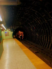 Subway Meat | Barli and SCP Foundation 2020 Wiki | Fandom