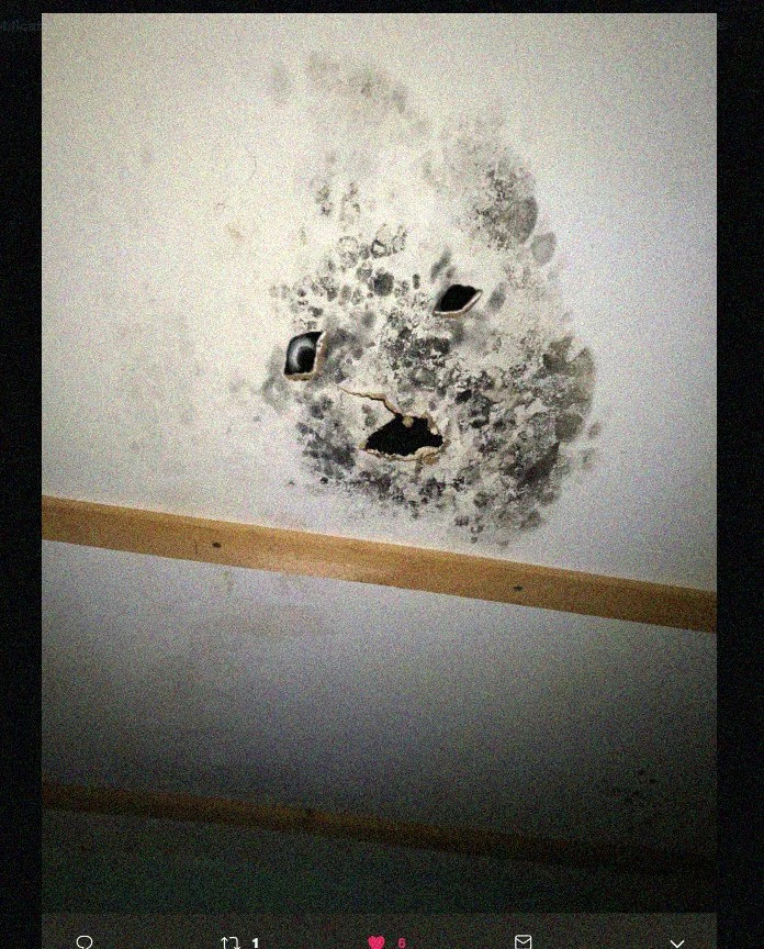 Ceiling Face | Barli and SCP Foundation 2020 Wiki | Fandom