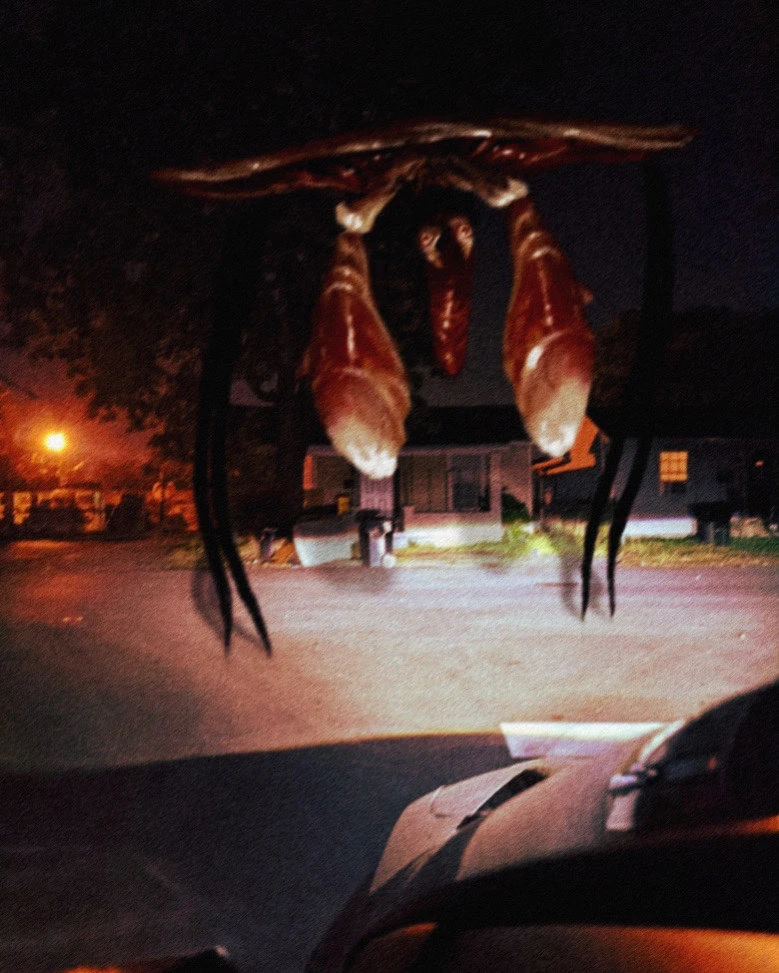 Crab Meat Mushroom Beetle | Barli and SCP Foundation 2020 Wiki | Fandom