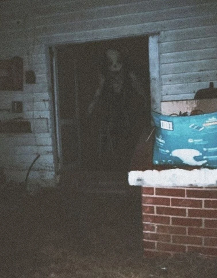 Window Dweller | Barli and SCP Foundation 2020 Wiki | Fandom