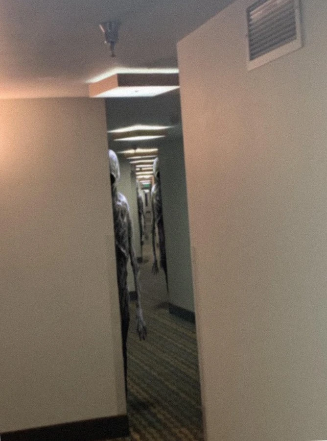 Nosy Neighbours | Barli and SCP Foundation 2020 Wiki | Fandom