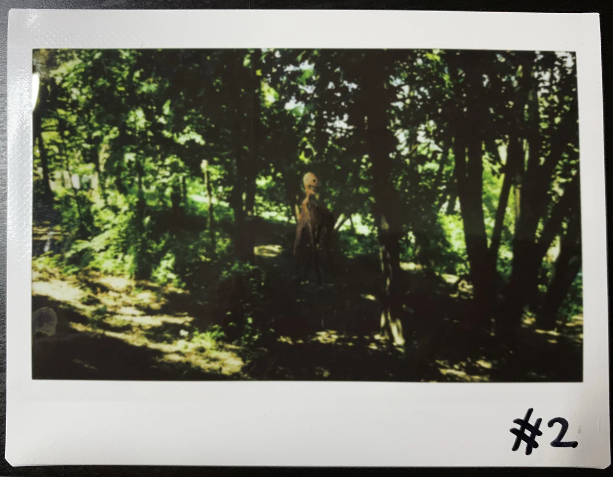 Forest Strider | Barli and SCP Foundation 2020 Wiki | Fandom