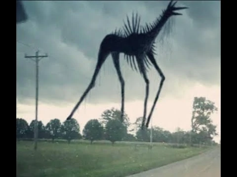 Country Giant | Barli and SCP Foundation 2020 Wiki | Fandom