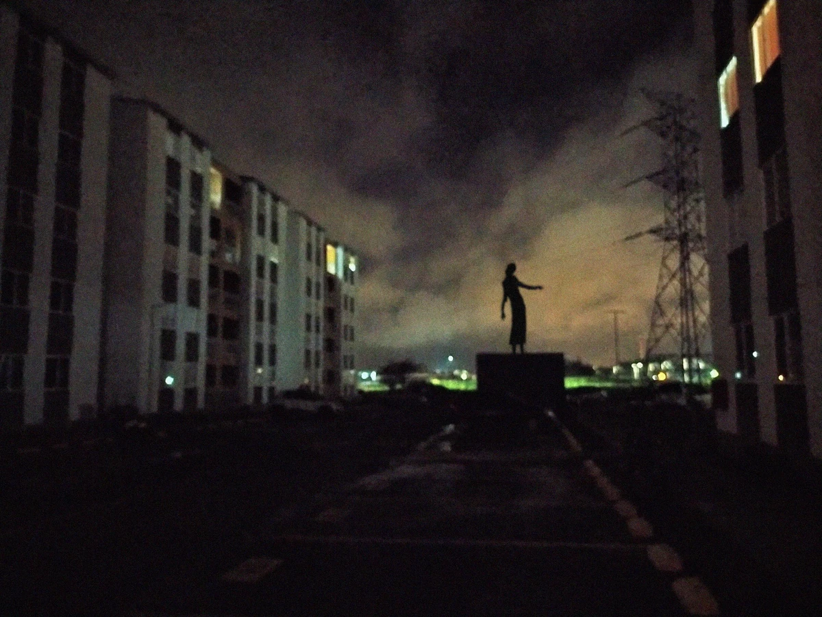 Not a Statue | Barli and SCP Foundation 2020 Wiki | Fandom