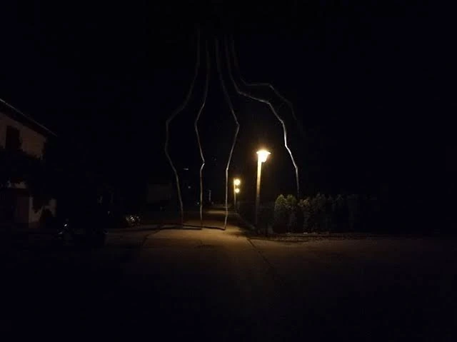 Long Leg | Barli and SCP Foundation 2020 Wiki | Fandom