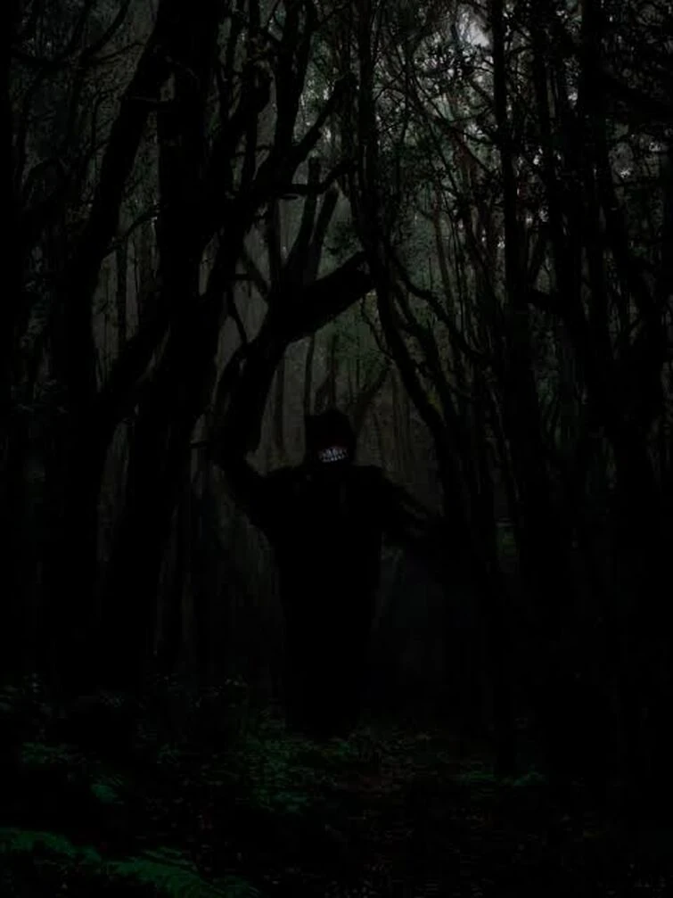 Did that Tree | Barli and SCP Foundation 2020 Wiki | Fandom