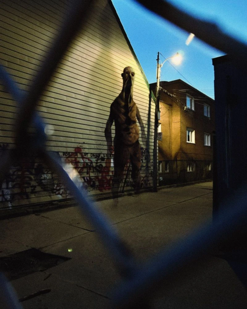 I saw it, and it saw me | Barli and SCP Foundation 2020 Wiki | Fandom