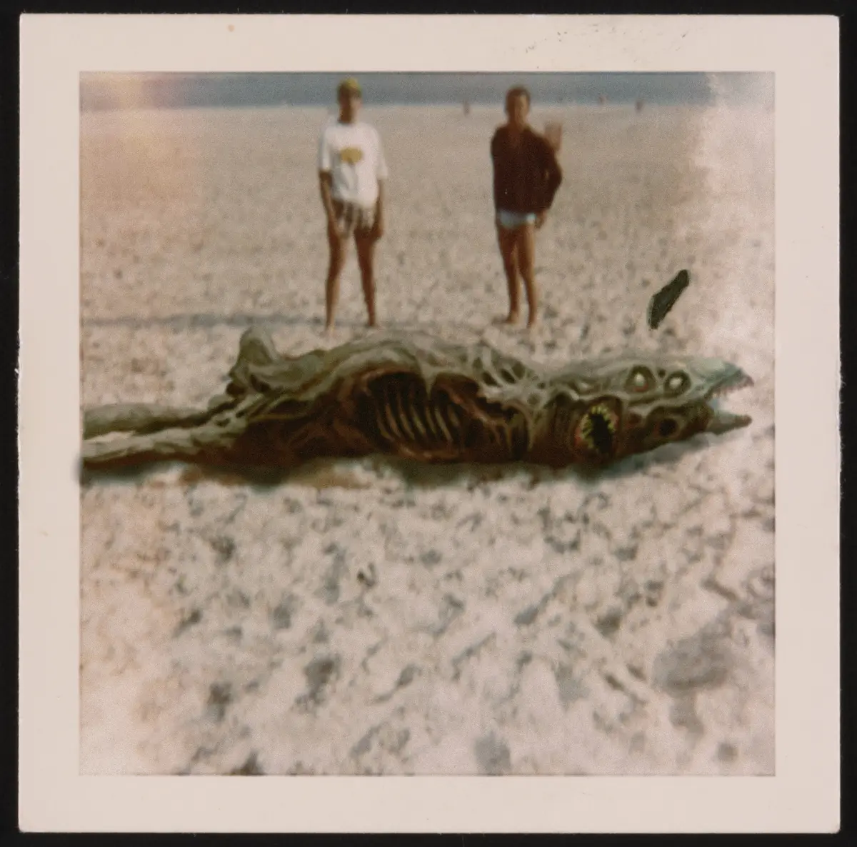 The Beach At Summer/SCP-682 | Barli and SCP Foundation 2020 Wiki | Fandom