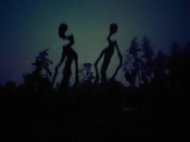 Forest Guests | Barli and SCP Foundation 2020 Wiki | Fandom