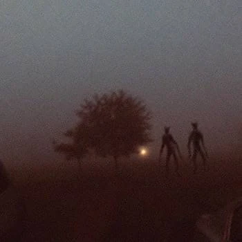 Love Birds/Tree People | Barli and SCP Foundation 2020 Wiki | Fandom