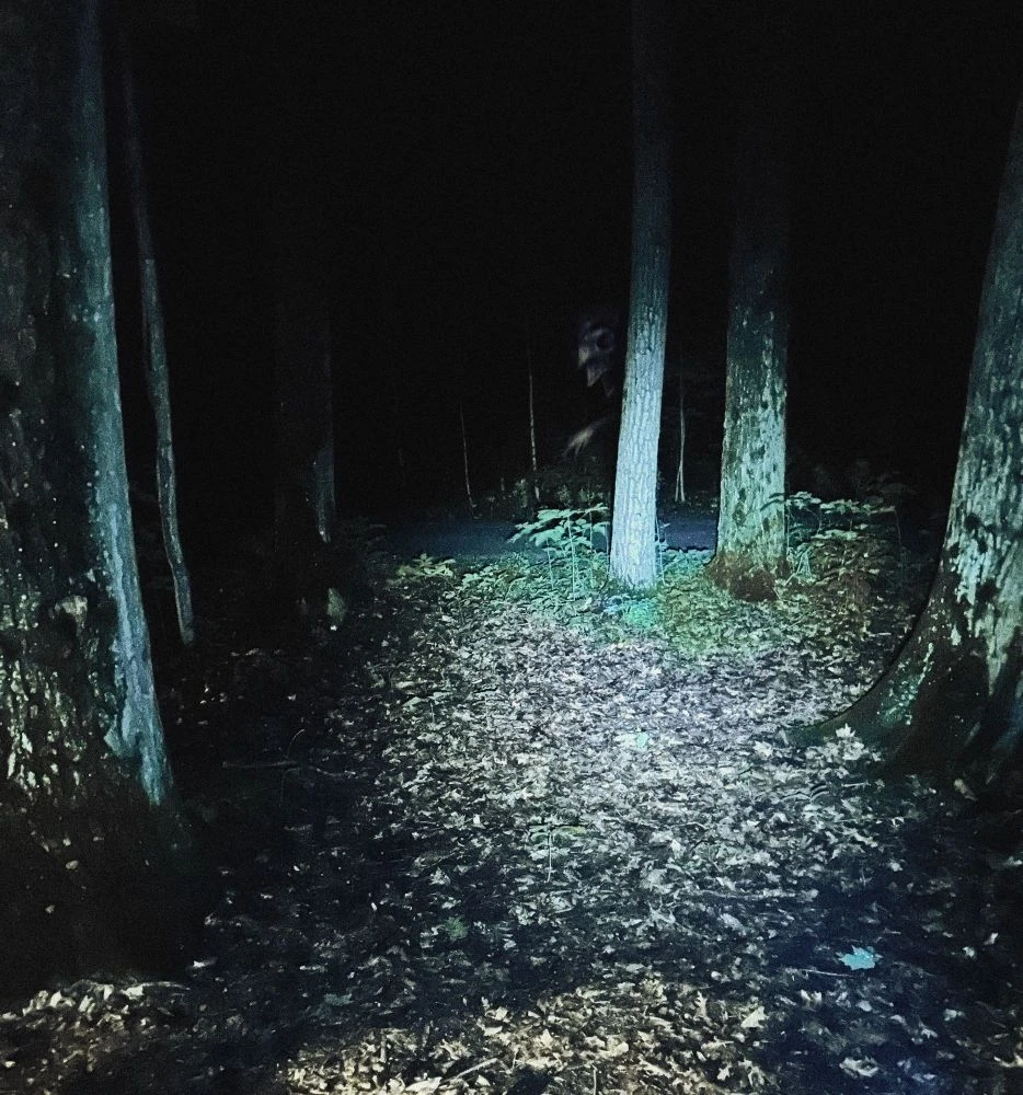 Flashlight Tag | Barli and SCP Foundation 2020 Wiki | Fandom