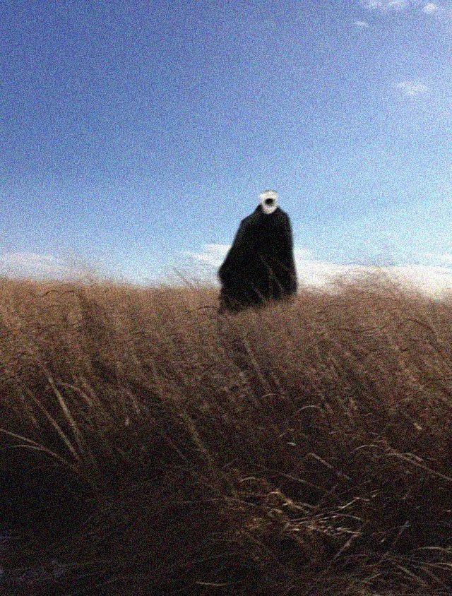 The Mindless Husk | Barli and SCP Foundation 2020 Wiki | Fandom