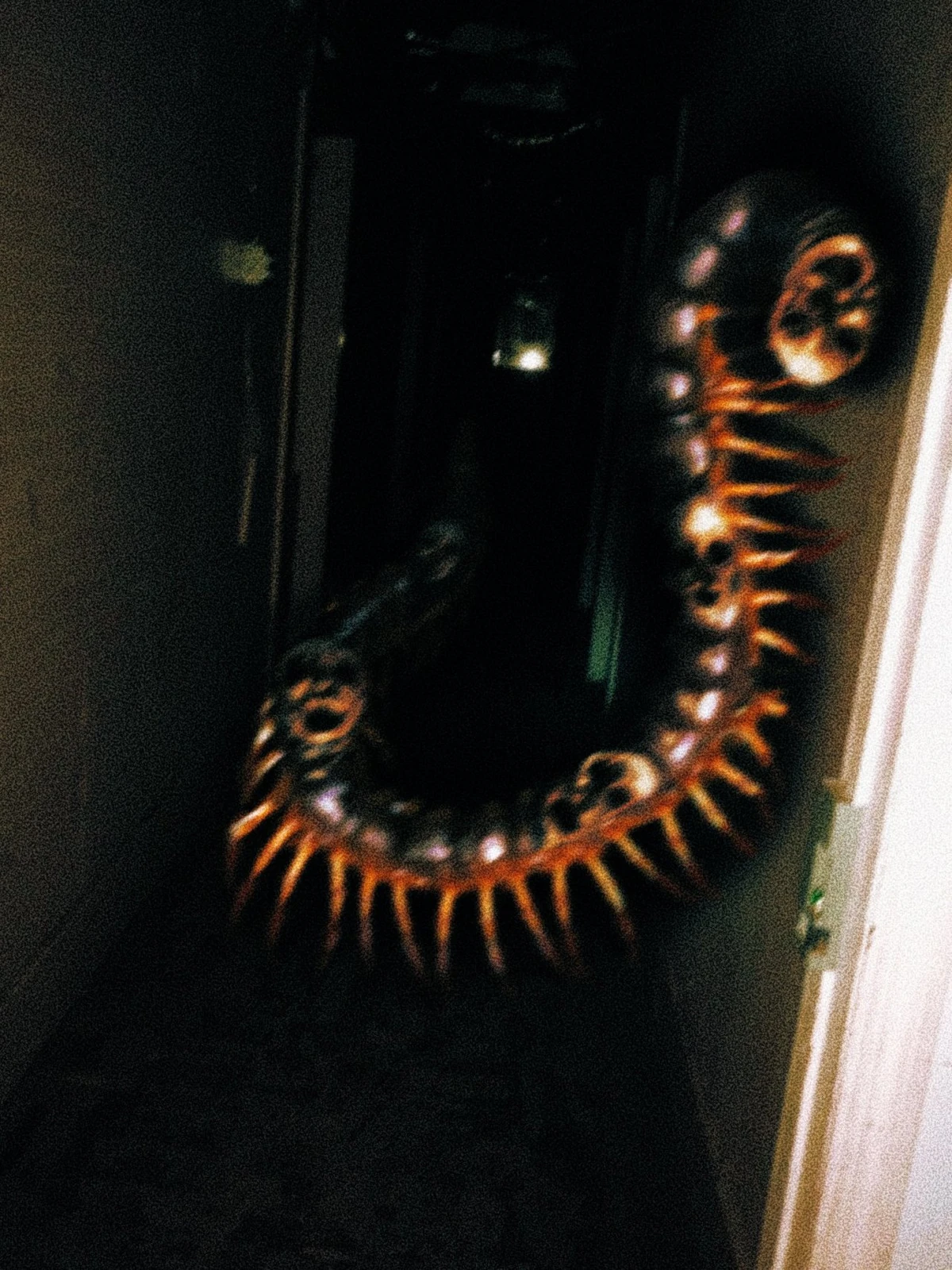 Red Centipede | Barli and SCP Foundation 2020 Wiki | Fandom