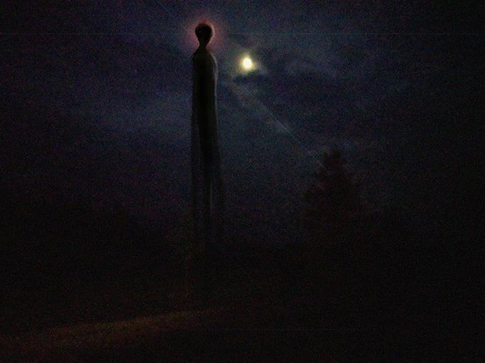 Living Telephone Pole | Barli and SCP Foundation 2020 Wiki | Fandom