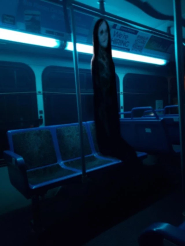 The Woman on The Bus | Barli and SCP Foundation 2020 Wiki | Fandom