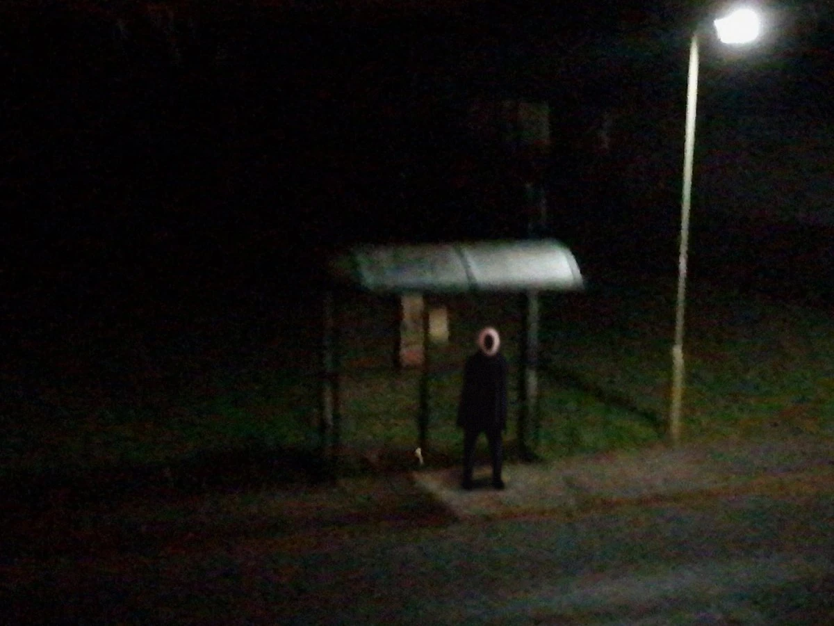 So Where's Bus | Barli and SCP Foundation 2020 Wiki | Fandom