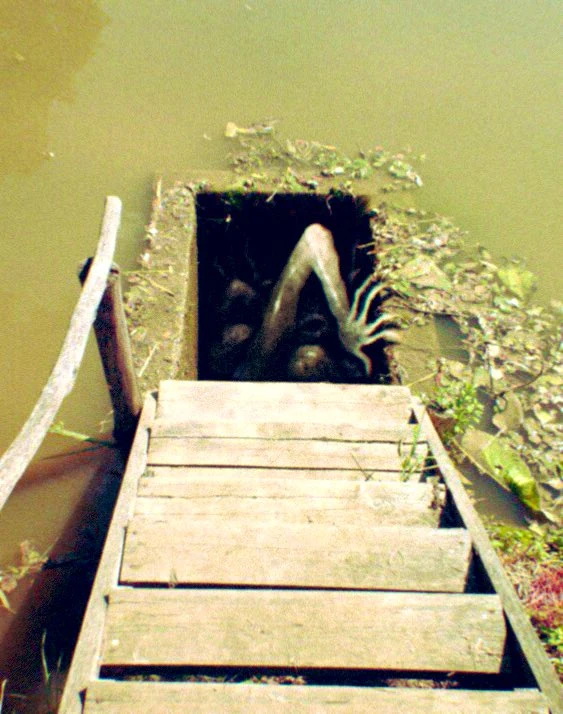 Underground Merchant | Barli and SCP Foundation 2020 Wiki | Fandom