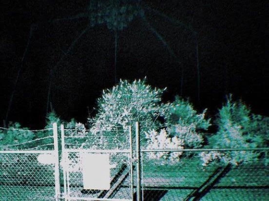 CCTV/Giant Spider | Barli and SCP Foundation 2020 Wiki | Fandom