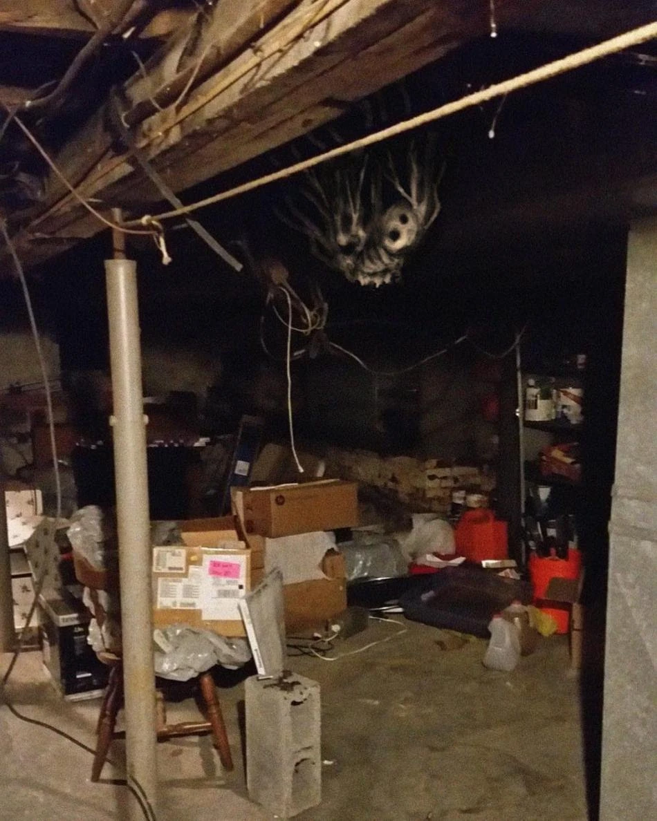 Basement Friend | Barli and SCP Foundation 2020 Wiki | Fandom