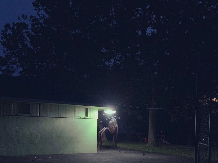 The Moth Bringer | Barli and SCP Foundation 2020 Wiki | Fandom