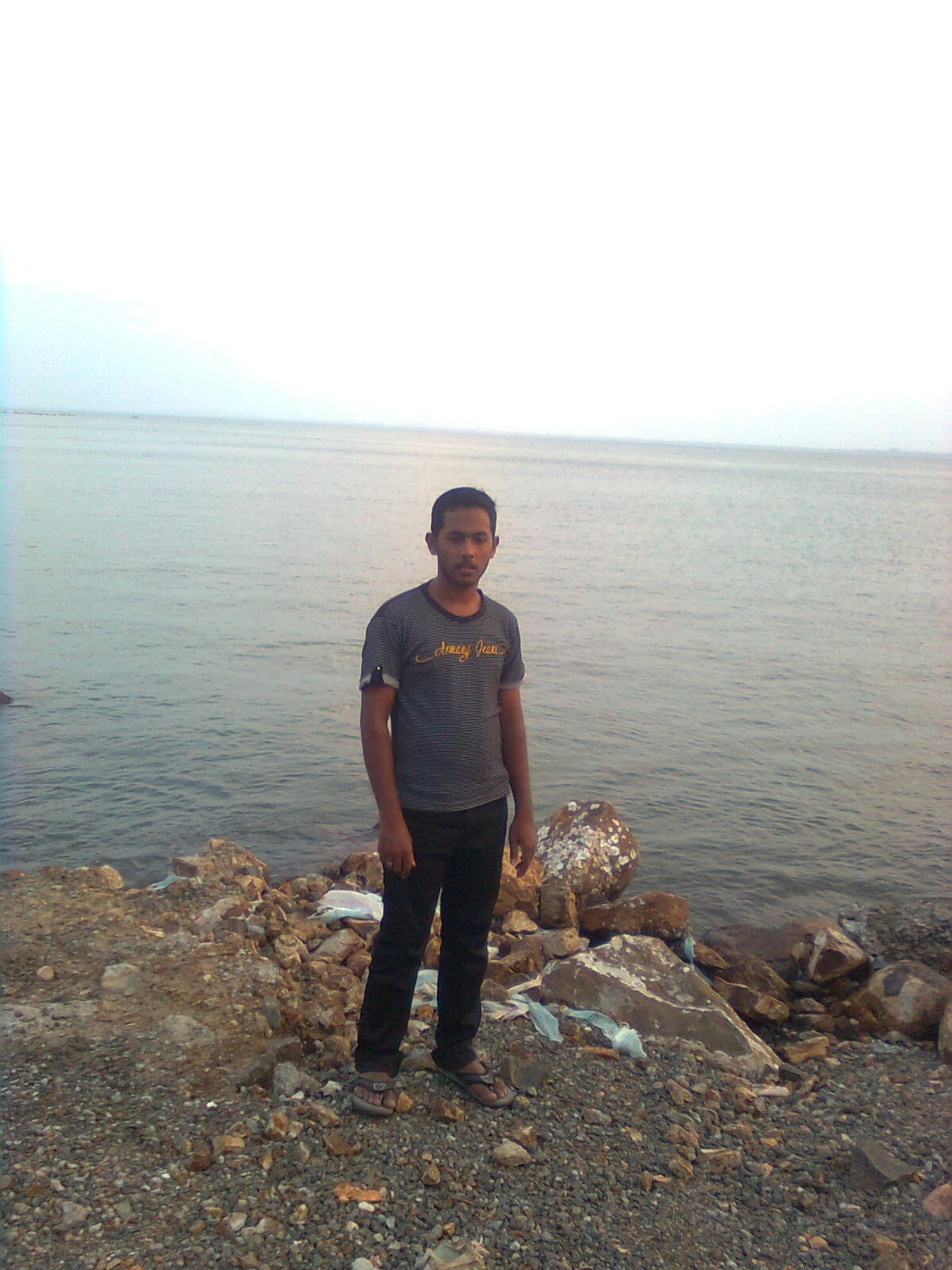 Mayflower Background | Barn Buddy Wiki | Fandom